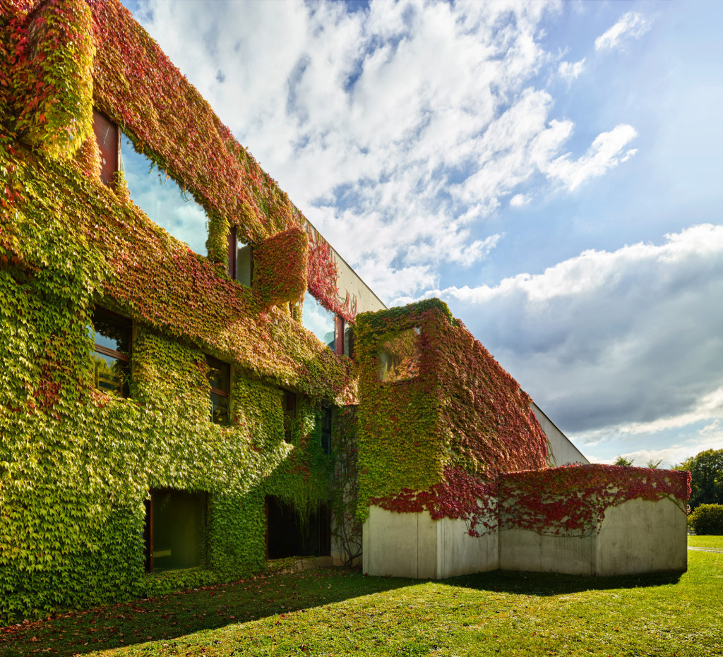 ‘Pasteur’ lower secondary school in Strasbourg, by Dominique Coulon ...